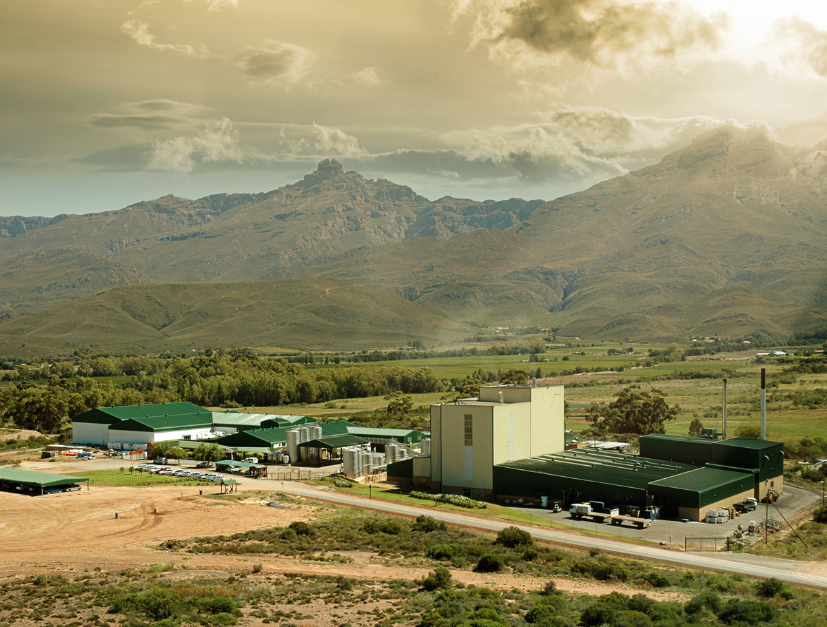 Our Story - Ladismith Cheese